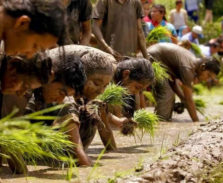 Class 12 Social model question- 2082 - NDGURU